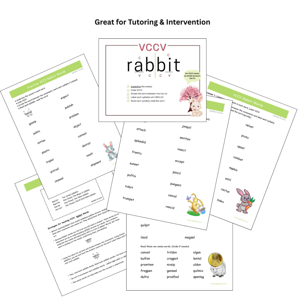 Rabbit Rule Packet + Reader | VCCV Syllable Division Practice