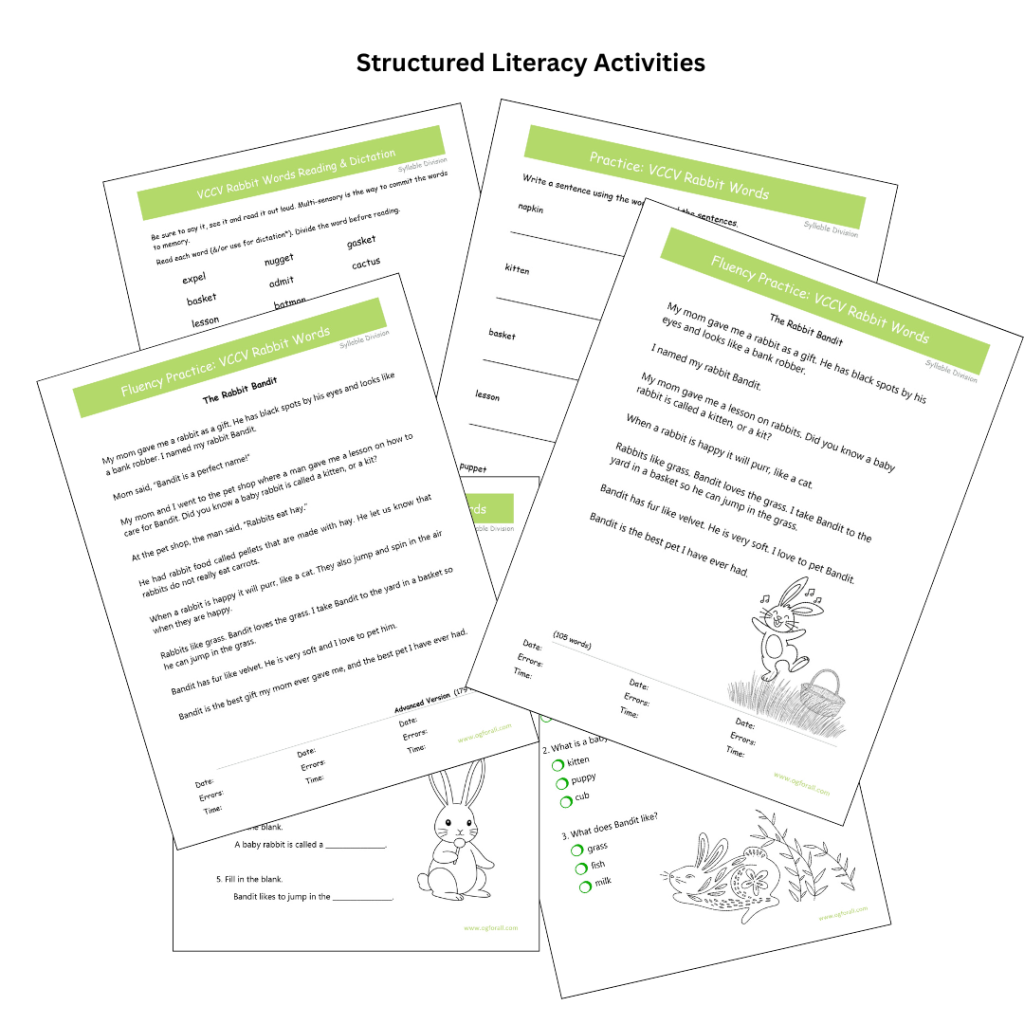 Rabbit Rule Packet + Reader | VCCV Syllable Division Practice